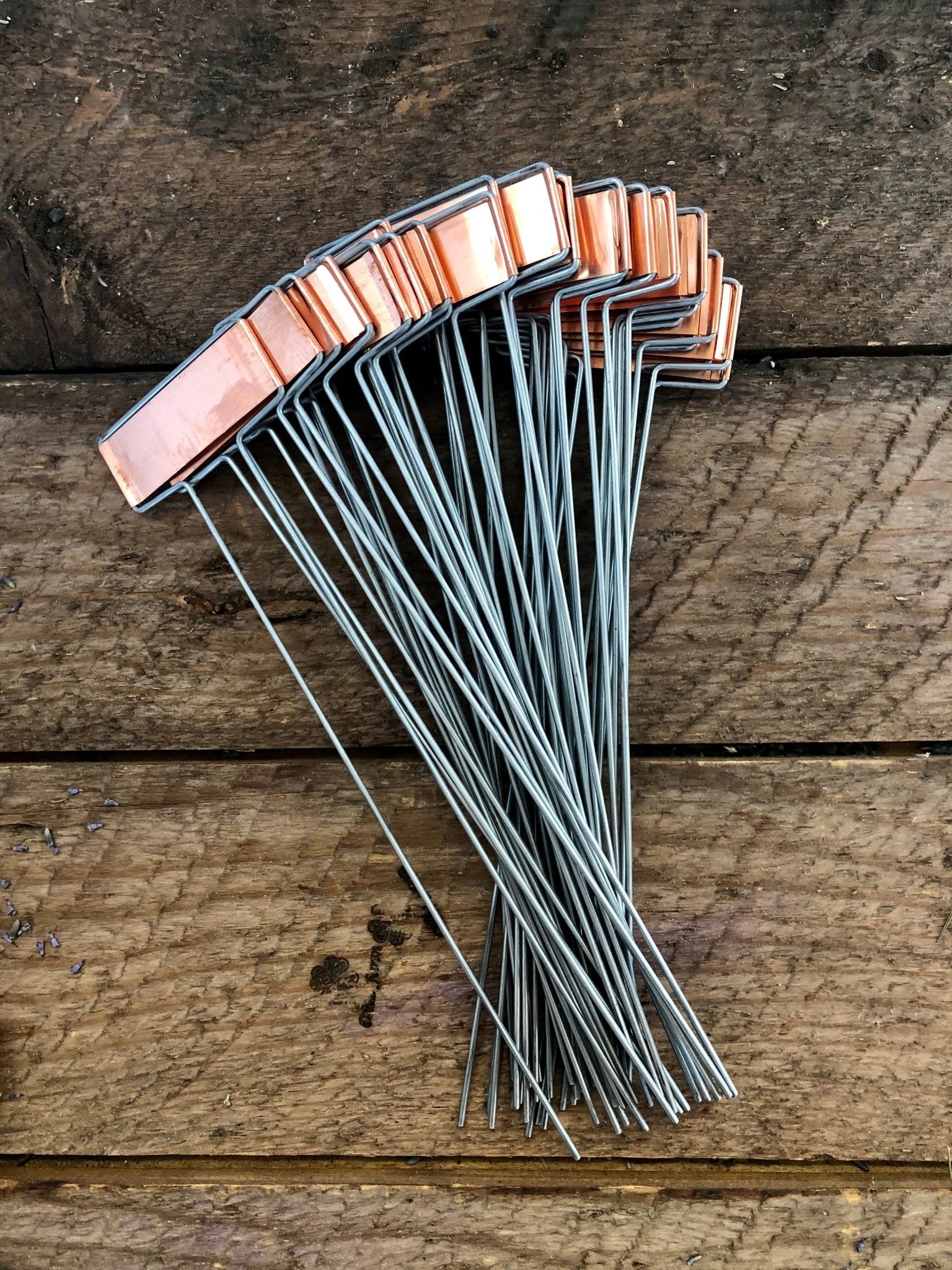 Copper Plant Tags - Garden Markers Set – Earthinary
